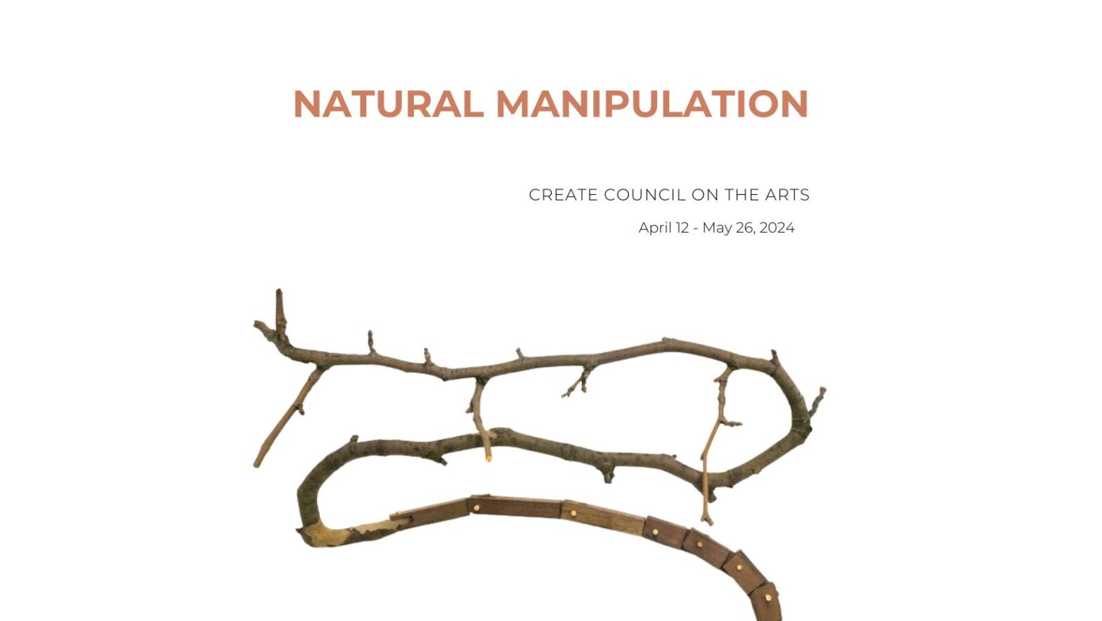NATURAL MANIPULATION - CREATE council on the arts • Greene • Columbia ...
