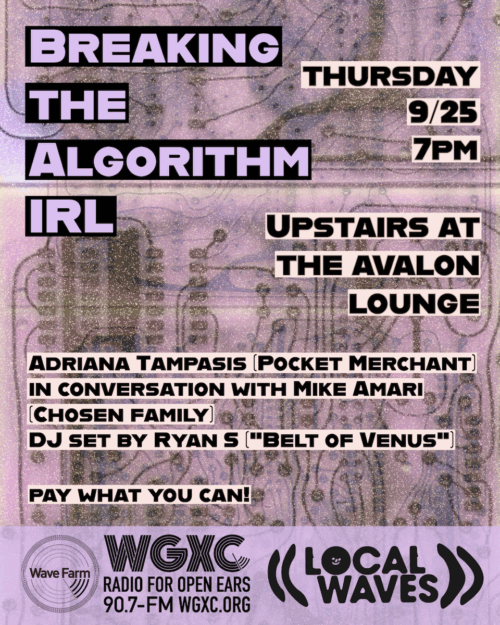 Breaking the Algorithm IRL: Adriana Tampasis - CREATE council on the arts • Greene • Columbia ...